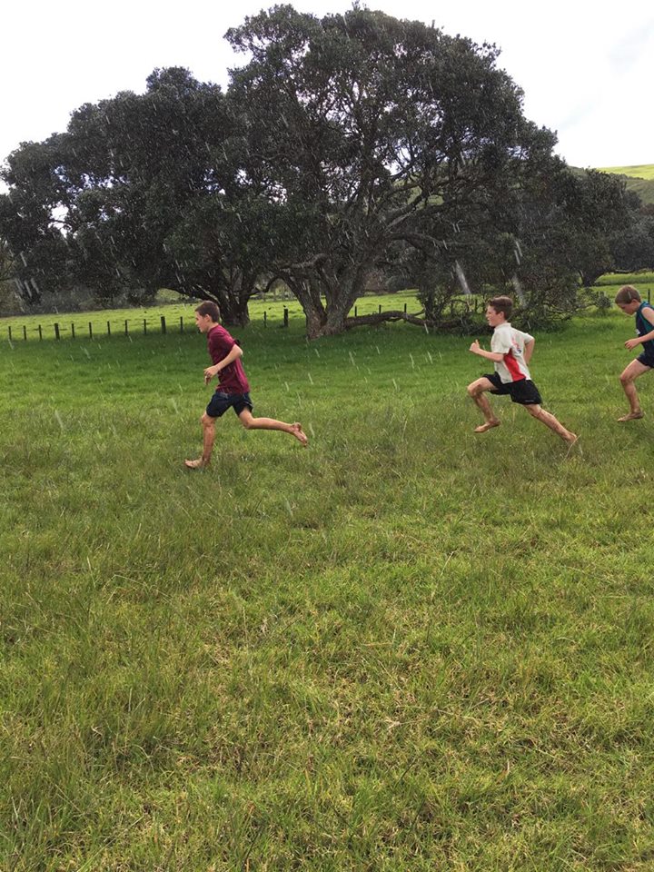 Newsletter 1 September 2017 – Snells Beach School