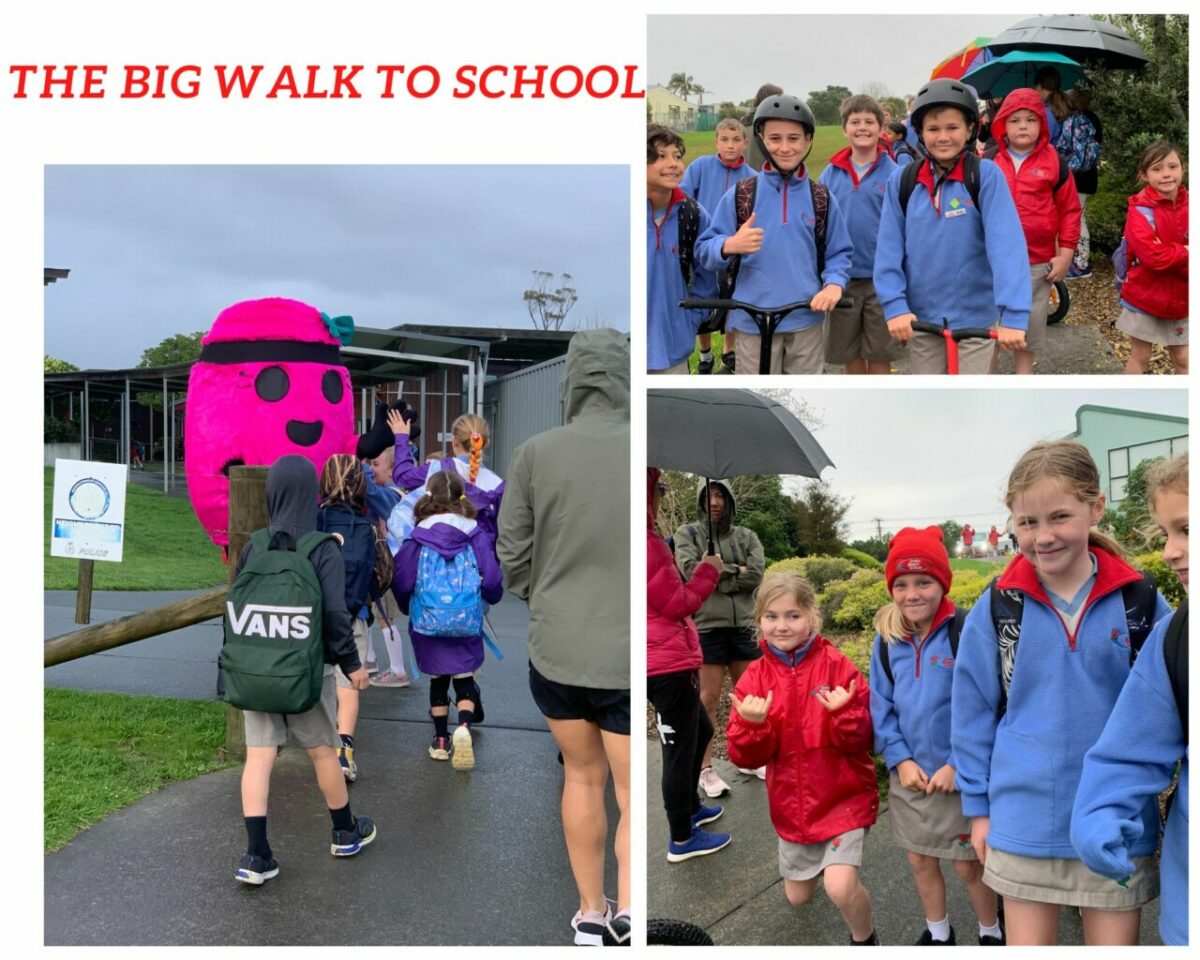 Newsletter 30 September 2022 – Snells Beach School