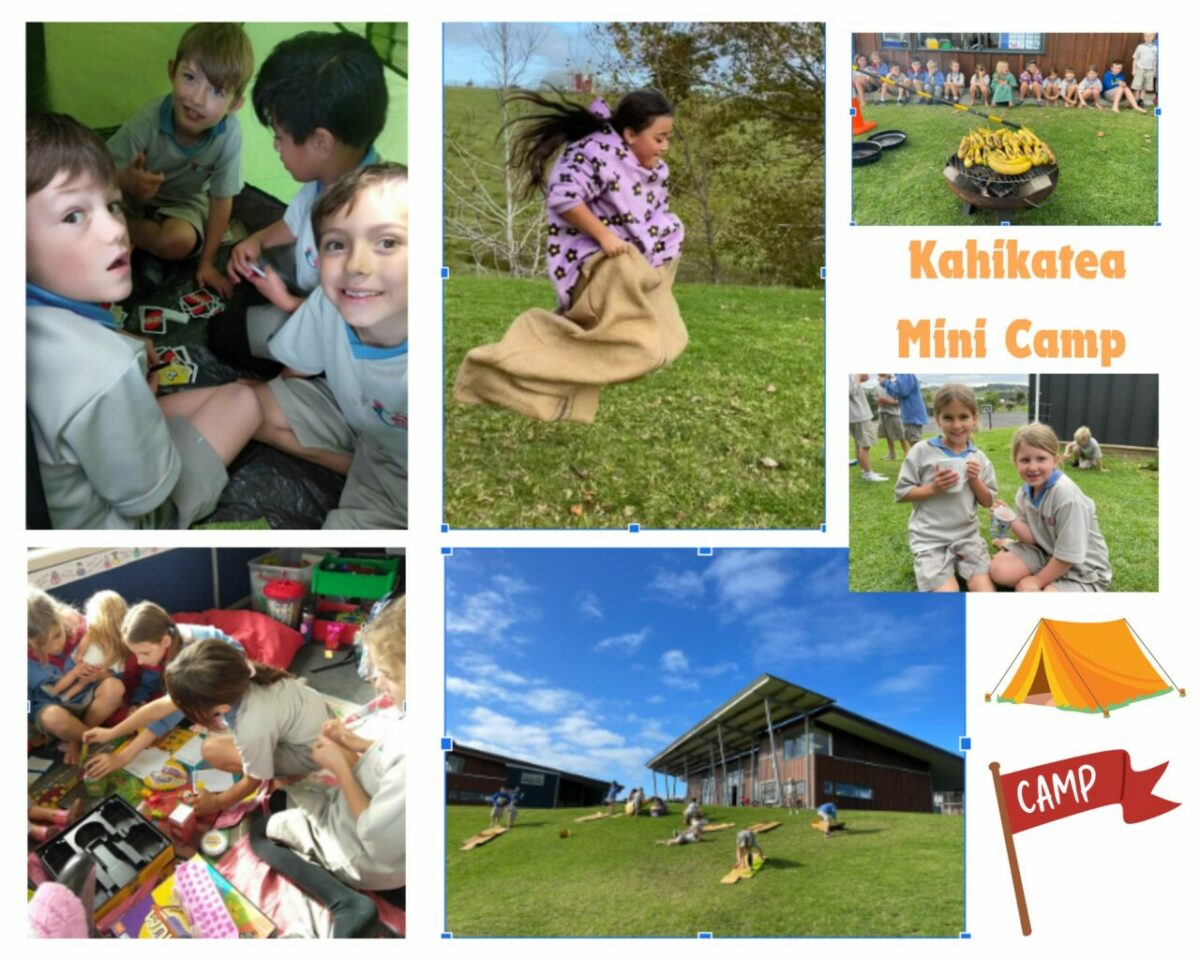 Blue surf photo collage – Snells Beach School